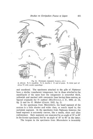 API ASME Pressure Vessel Inspection Code Pressure Vessel Inspection Code In Service