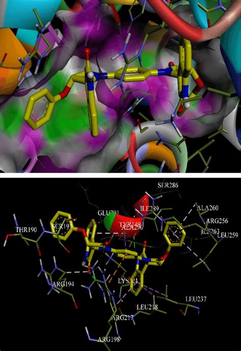 Computed Interactions Of 10a Shown In Yellow With Bsa Pdb 4f5s