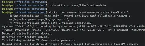 How To Install FreeIPA Server With Docker On Debian