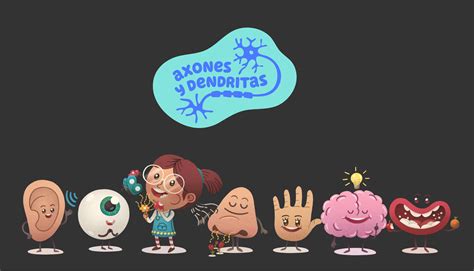 Axones Y Dendritas Dobble Branddobble Brand