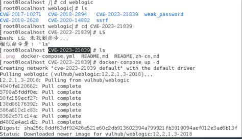Weblogic反序列化CVE 漏洞复现 Vice 博客园