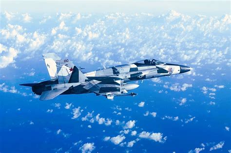 What Are Aggressor Squadrons And Why Are They Important