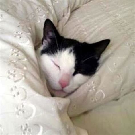 Michael De Klerk Youtube