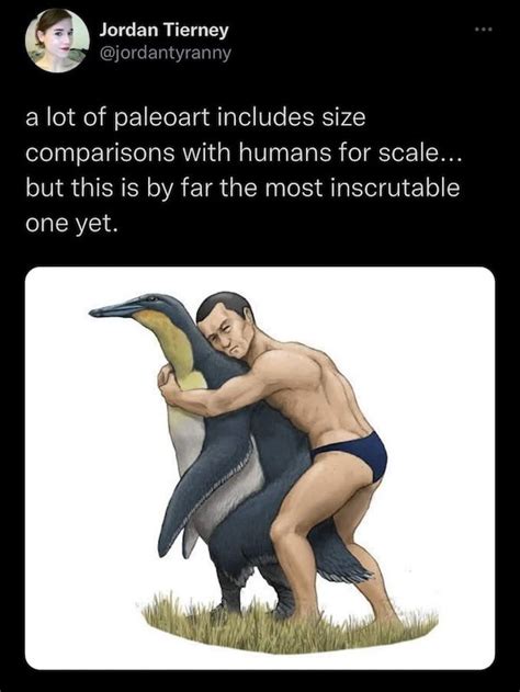 She Blinded Me With Science Memes Album On Imgur