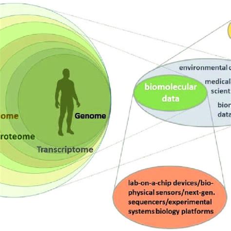 The Workflow Of Food Metabolomics Consisting Of Food And Human Sample Download Scientific