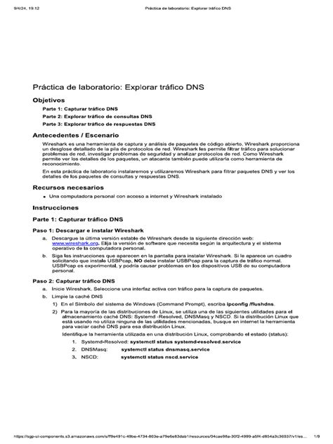 417 Lab Exploring Dns Traffic Pdf