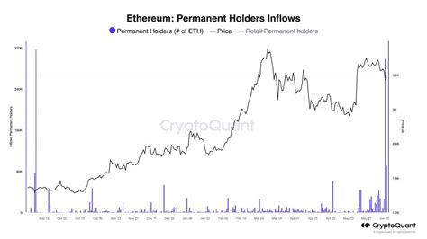 Ethereum Hodlers Scoop 298 000 Eth In 24 Hours Talkmarkets