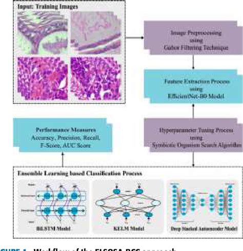 Figure 1 From Ensemble Learning With Symbiotic Organism Search