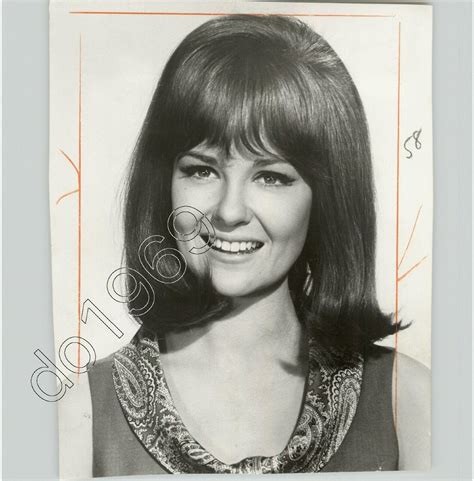 Actress And Singer Shelley Fabares Johnny Angel Donna Reed Show 1969