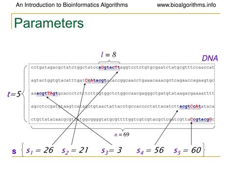 Ppt Motif Finding Powerpoint Presentation Free Download Id4203822