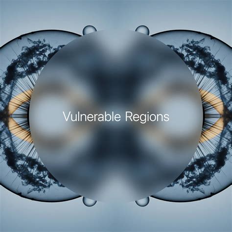 Vulnerable Regions → Term