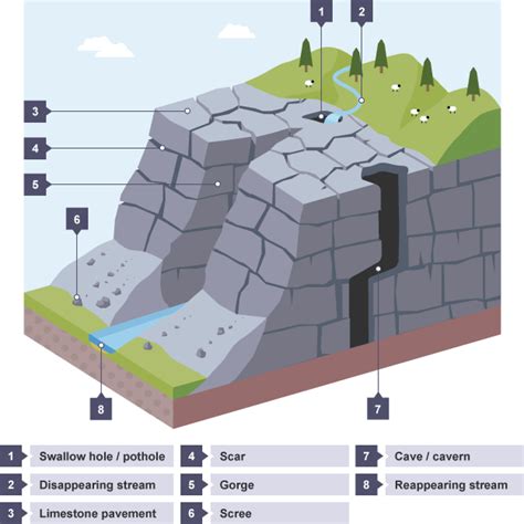 Diagram Of S3 Geography Limestone Quizlet