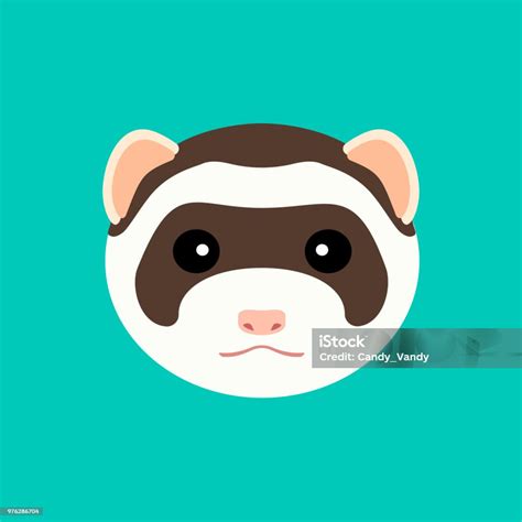 귀여운 흰 족제비 총구입니다 벡터 평면 디자인 일러스트입니다 페럿에 대한 스톡 벡터 아트 및 기타 이미지 페럿 0명 가득 찬 Istock