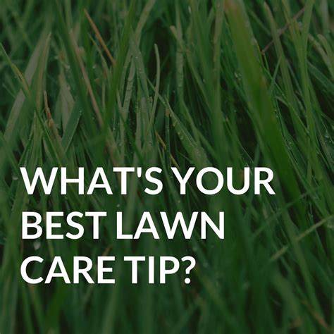 Lets Hear Your 🌱 Secrets Comment Below Michael Chapple Cell Text 337 366 5376 Latter