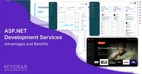 Maximize Your Success With Top Aspnet Development Services