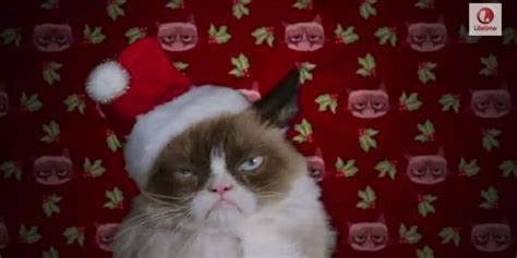 🔥 50 Grumpy Cat Christmas Wallpapers Wallpapersafari