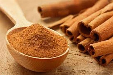 Medicinal And Aromatic Plants Cinnamon Is Your Spice Doctor