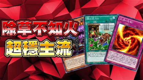 【遊戲王duel Links】「超穩主流」除草不知火🔥前陣子甚至衝到t1的牌組！爆發力續戰力更強！ Youtube