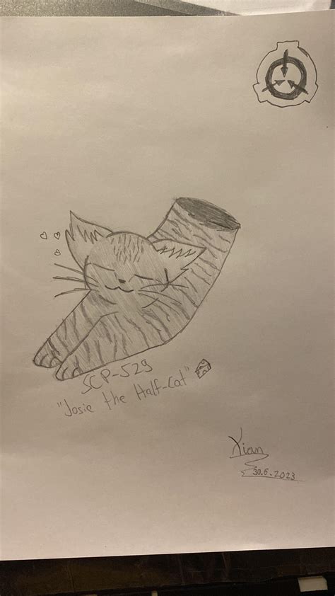 Scp 529 Drawing Rscp