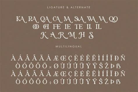 romans serif font free font