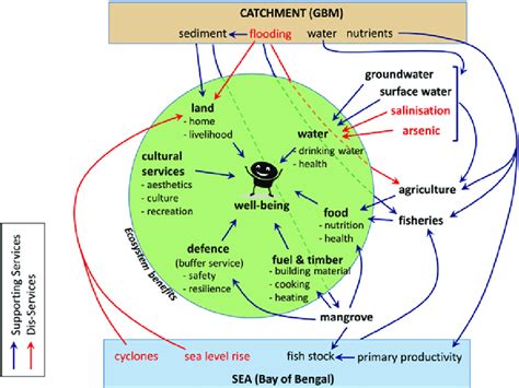 Building And Using Conceptual Diagrams National Ecosystem Services