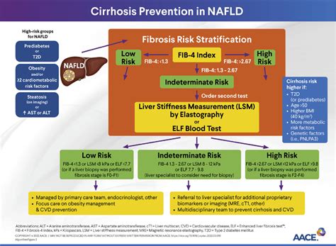 Universal Fib 4 Score Screening In Diabetes What Physicians Must Know