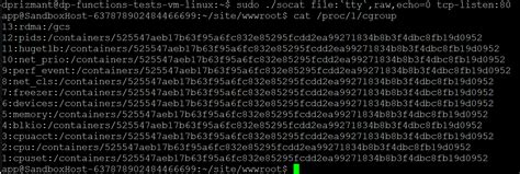 digging inside azure functions hyperv is the last line of defense