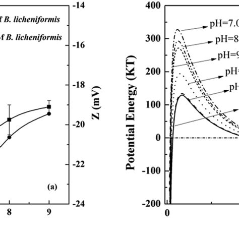 Effects Of Ph On The A Zeta Potential Flocculability And B Dlvo Download Scientific