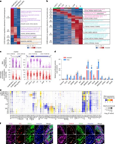 Identification Of Potential Regulators For Cell Fate Transition During