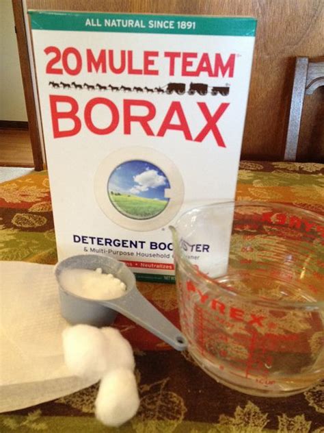 Yes Borax Got Rid Of The Ants Ants Get Rid Of Ants Rid Of Ants