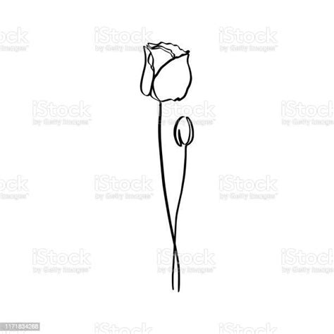 양귀비 꽃 연속 선 그리기입니다 트렌디 한 미니멀 리스트 스타일의 벡터 추상화 식물 개념에 대한 스톡 벡터 아트 및 기타 이미지