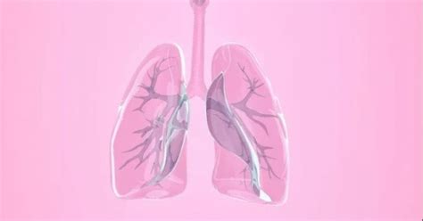 5 ДОКАЗАНИ начина да възстановите белите си дробове след пневмония