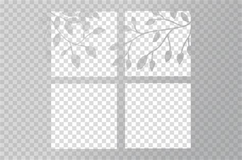 나뭇 가지로 투명한 그림자 오버레이 효과 무료 벡터