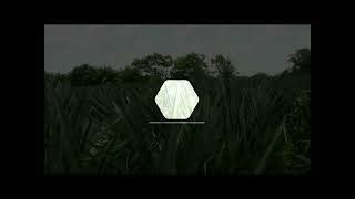 Blade For Pineapple Leaf Fiber Extractor Mach Agri UPM