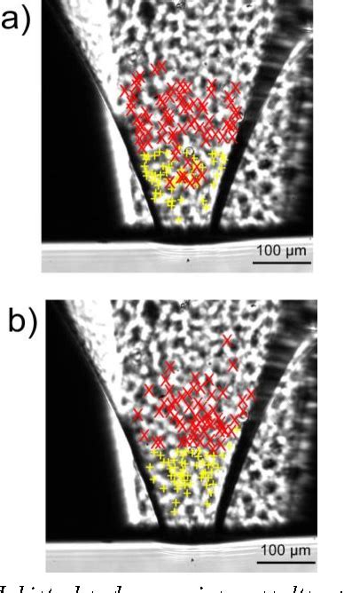 Figure 4 From Piezoelectric Inkjet Based Single Cells Printing By Image Processing For High