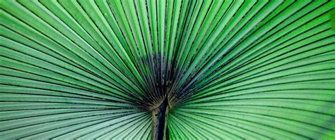 Publisher Subscriber Vs Observer Pattern With C Dev Community