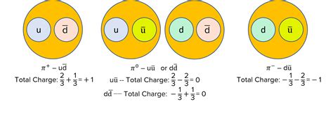 Quarks Questions And Revision Mme