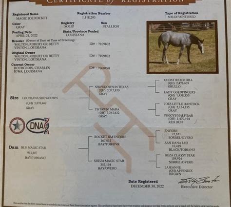 Southwest Horse Sale Added A New Photo Southwest Horse Sale