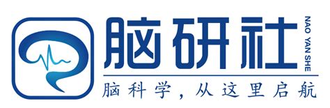 什么是静息态低频振幅（alff）？ 脑研社