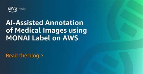 Monai On Aws Aws For Industries