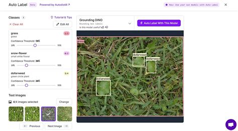 Auto Label Ai Not Labelling 🤝 Community Help Roboflow
