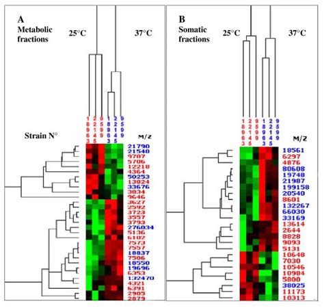 Proteomic Analysis Of The Temperature Effects The Hierarchical