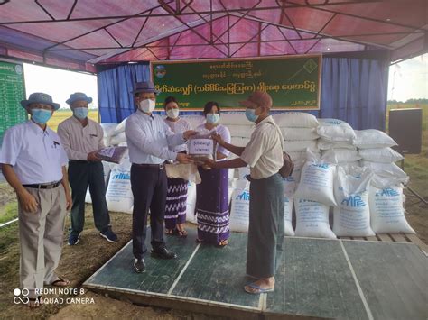 လပွတ္တာမြို့နယ်တွင် မိုးစပါးစံကွက်ရိတ်ပွဲ၊ သစ်စိမ်းမြေသြဇာပိုက်ဆံလျှော်မျိုးစေ့ပေးပွဲနှင့် နွေစပ