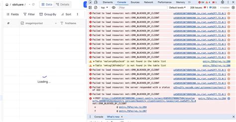 network error when trying to load a db with 87gb and 40m rows self host nocodb