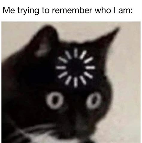 Accurate Album On Imgur