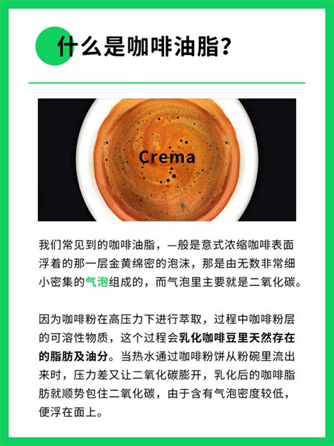 咖啡知识咖啡油脂到底是什么 知乎