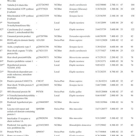 Proteins Identified By Maldi Tof Mass Spectrometry And Mascot