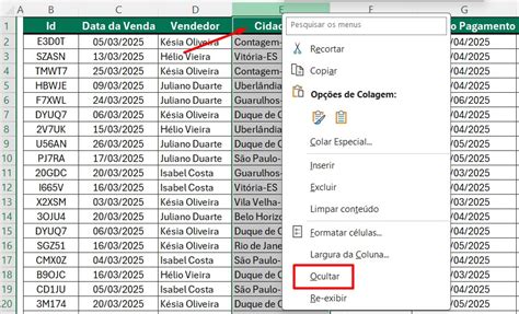 Como Ocultar Colunas No Excel Ninja Do Excel