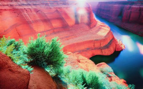 รปภาพ Vaginal Orifice เลอกดภาพถายสตอก เวกเตอร และวดโอ937 653 Adobe Stock