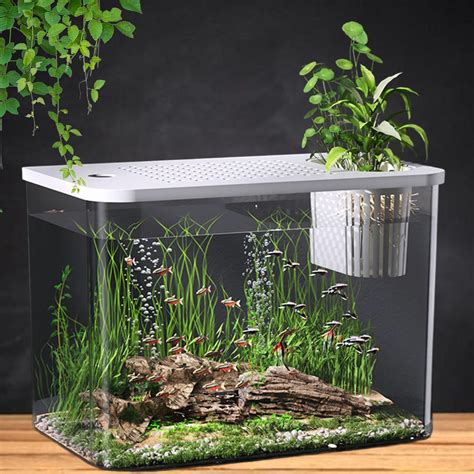 Terrario Para Tanque De Reptiles Pecera Pequeña De Escritorio Hábitat
